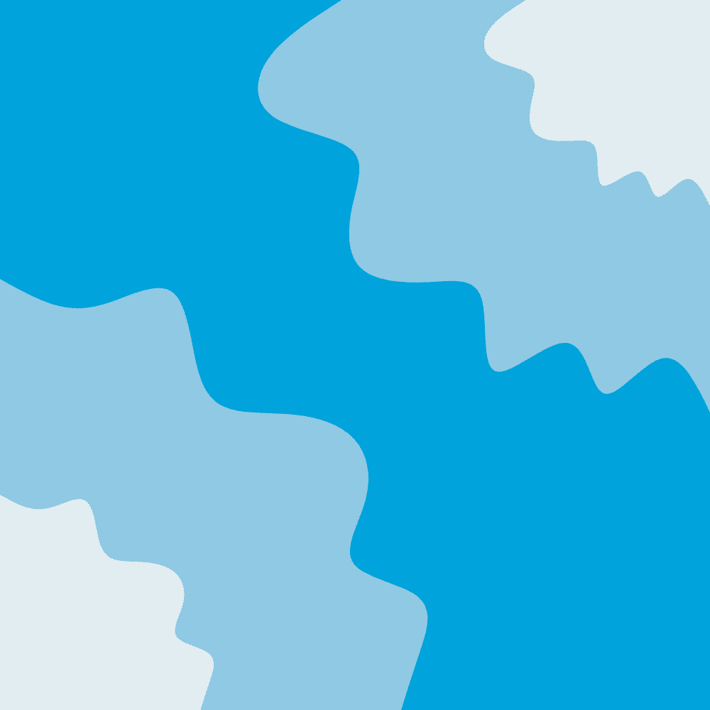 My Fit Experience: Leaders - IT Revolution